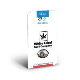 Konopljino seme - Sensi Seeds - Og Kush White Label